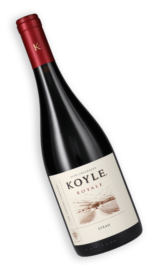 Compra online Koyle Royale Syrah SKU 732 | La Vinoteca